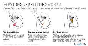 How Tongue Splitting Works Tongue Split Tongue Piercing Tongue