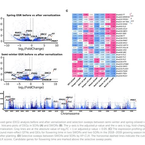 Liang Guo Professor Full Doctor Of Philosophy Huazhong Agricultural University Wuhan