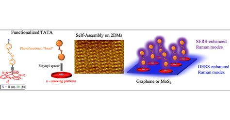 Formation Of Highly Ordered Self Assembled Monolayers On Two Dimensional Materials Via