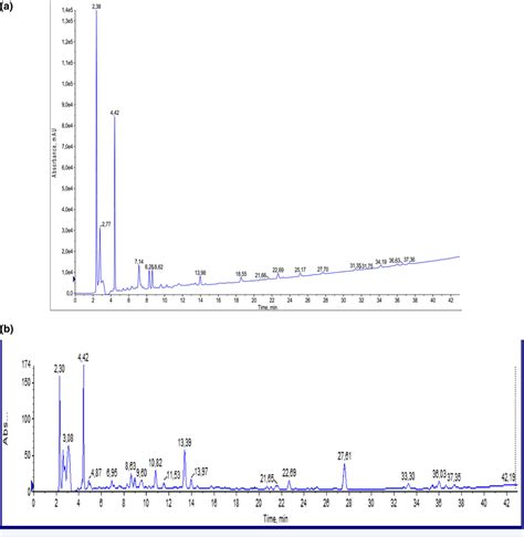 Chromatogram For Hplc Characterization Of Phenolic Constituents Of A Download Scientific