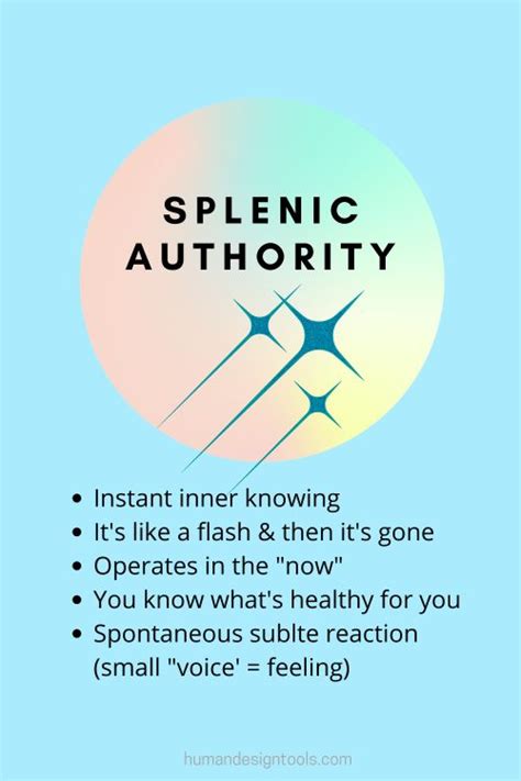 Decision Making Authority And Human Design Human Design Human Design System Human