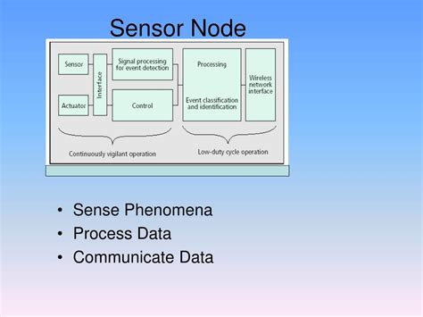 ppt wireless sensor networks powerpoint presentation free download