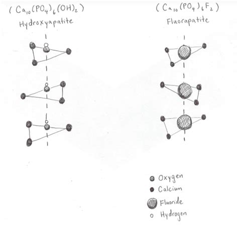 Stannous Fluoride Vs Sodium Fluoride Similarities And Differences 1311 Jackson Ave Dental