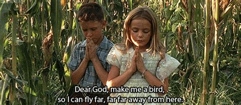 Make Me A Bird S Find And Share On Giphy