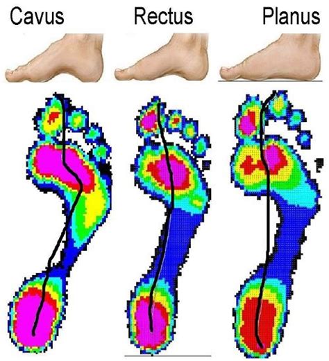 Statistical Modeling Biomed Consulting