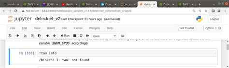 detectnet v2 notebook does not find tao or detectnet v2 tao
