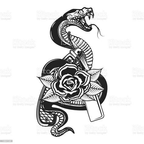 뱀 이발사 면도기 및 장미의 그림 포스터 티셔츠 카드 배너를위한 디자인 요소 벡터 일러스트 레이 션 가시 철조망에 대한 스톡