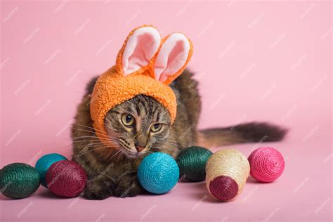 Premium Photo Easter Bunny Tabby Cat With Bunny Ears And Easter Eggs On Pink Background Funny