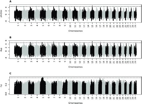 Manhattan Plot For Selection Signature Signals Detected By The Xp Ehh