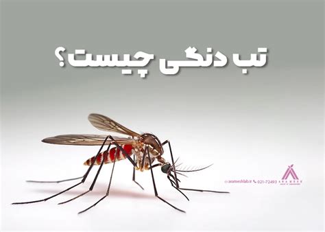 تب دنگی چیست؟ علائم، درمان و پیشگیری