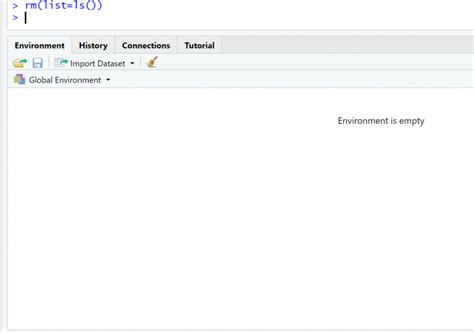 How To Clear The Environment In R Methods