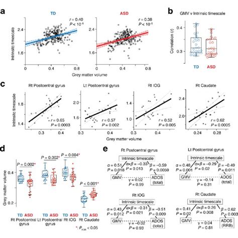 Voxel Wise Comparison Of The Intrinsic Neural Timescale A In Both