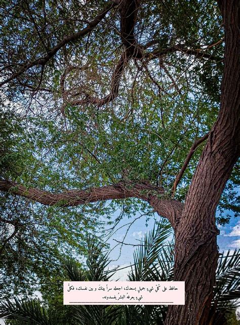 سنابات ستوري تصوير طبيعة