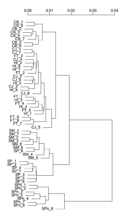 Decomposition With Four Levels Download Scientific Diagram