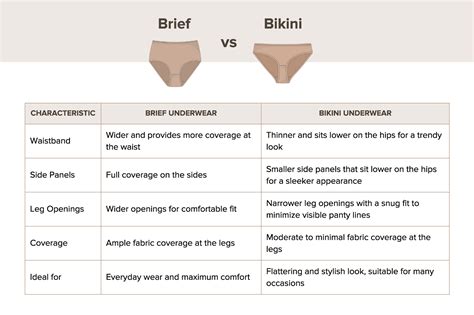 Brief Vs Bikini Underwear Which Style Is Right For You Q For Quinn