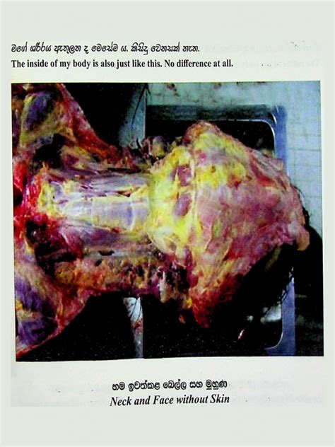 අසුභ භාවනා රූප සටහන්{808} Pdf