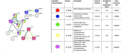 ppi network of top ranked genes revealed through cytohubba among