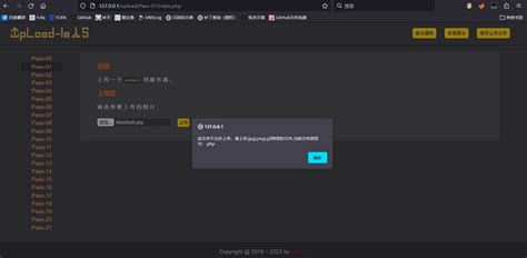 web安全之文件上传 对网站进行文件上传 获取网站webshell 分析数据库内容 拿到flag csdn博客