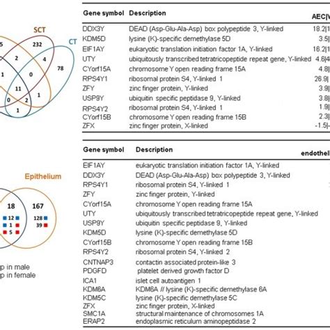 Schematic Representation A And An Immunohistochemical Staining B Of