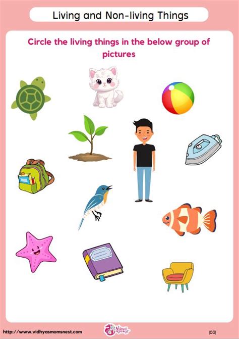 Science Level Vidhyas MomsNest