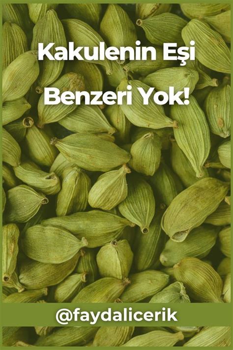 Zencefilgiller Ailesinin En İyisi Kakule Faydalı İçerik Doğal Tıp Şifalı Otlar Doğal Sağlık