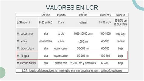 Valores En Lcr Doctor Teco Udocz