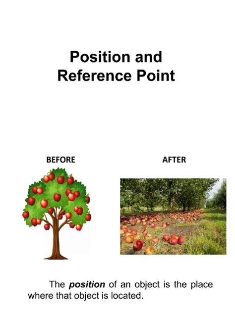 Position And Reference Point Pdf
