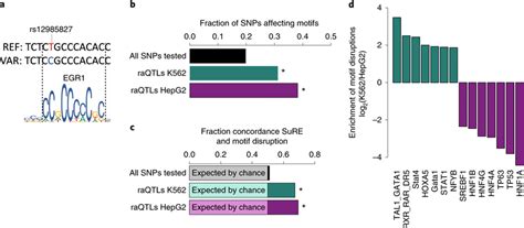 Concordance Of Sure Data And Predictions Based On Tf Binding Motifs A