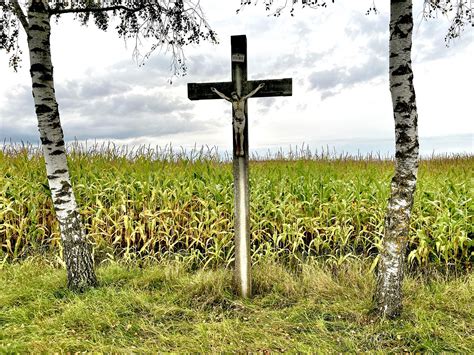 Landscape Corn Cross Free Photo On Pixabay Pixabay