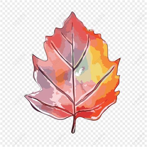수채화 가을 잎이 표시됩니다 벡터상표 Png 일러스트 무료 다운로드 Lovepik
