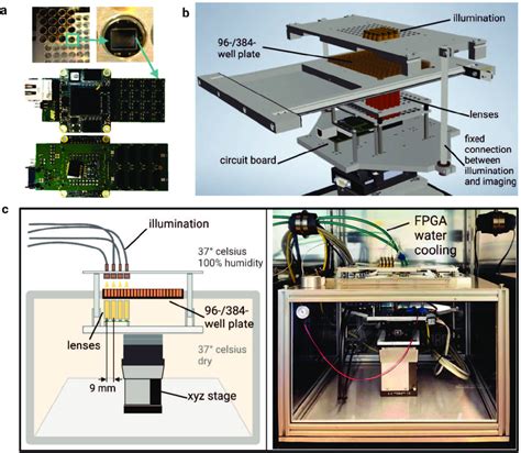 The Complexeye A Multi Lens Microscope For High Throughput Embedded Download Scientific