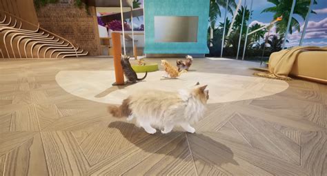 Developer Catly Luncurkan Trailer Gameplay Di Steam • Jagat Play