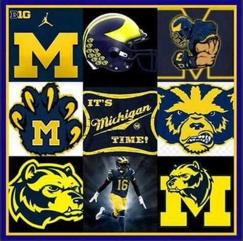 The Only Mascot That Makes Sense In Our State Michigan Wolverines