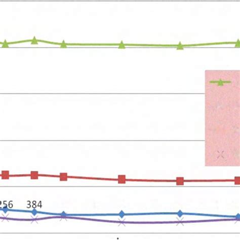Ipv4 Udp Average Delay Download Scientific Diagram