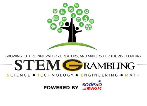 Home Stem Global Action Is A Leader In The Design And Delivery Of