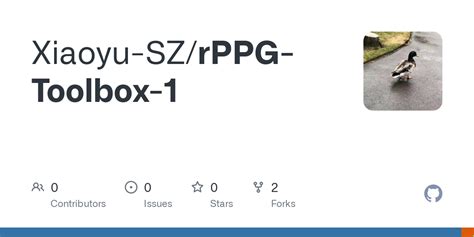 GitHub Xiaoyu SZ RPPG Toolbox
