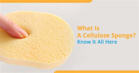 What Is Cellulose Sponge Sponge Center