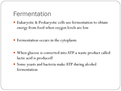What Is The Process Of Fermentation Used For In Prokaryotes At Wayne