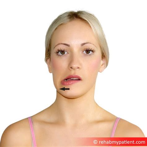 Lateral Pterygoid Rehab My Patient