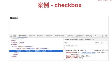 Learn Css 学习总结 程序员宝宝 Checkbox 背景透明 Css Guinnesskiki52b4