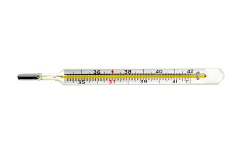 Glass Mercury Thermometer Isolated Diagnostic Thermometer Mercury