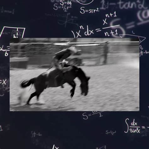 Video Camila Tomas On Linkedin Ai Openai Scentintelligence Scentptofiler Scentexperience