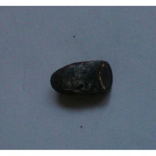 Sequence Of Events Of The Bullet Extraction A Dissection Around The