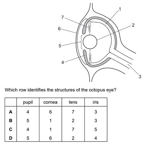 Igcse Biology 0610 14 2 Sense Organs Igcse Style Questions Paper 2