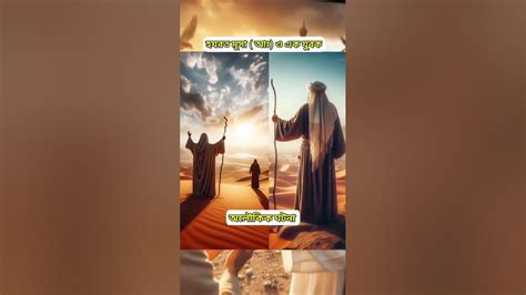 হযরত মূসা আঃ ও এক যুবকের অলৌকিক ঘটনা। Status Quran Unfrezzmyaccount Islamicshorts History