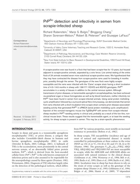 Pdf Prpsc Detection And Infectivity In Semen From Scrapie Infected Sheep