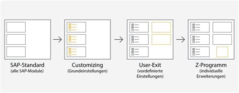 Customizing Sap
