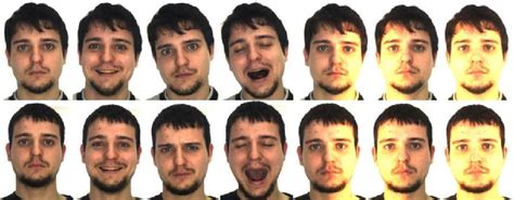 The Ar Data Set Top Row The Seven Images Without Occlusions From