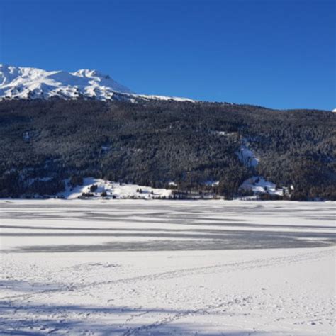 Giulia Fiorentini University Of Bologna Bologna Unibo Department